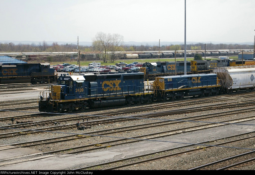 CSX 2439 & 1015